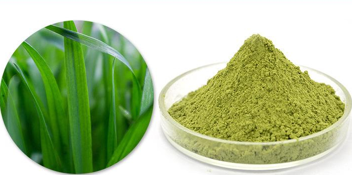 China pure organic barley grass powder manufacturers, pure organic ...