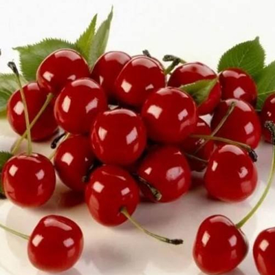 freeze dried acerola company - NATURECHOICE